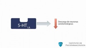 Mecanismo de acción de los ISRS - Instituto de Psicofarmacología